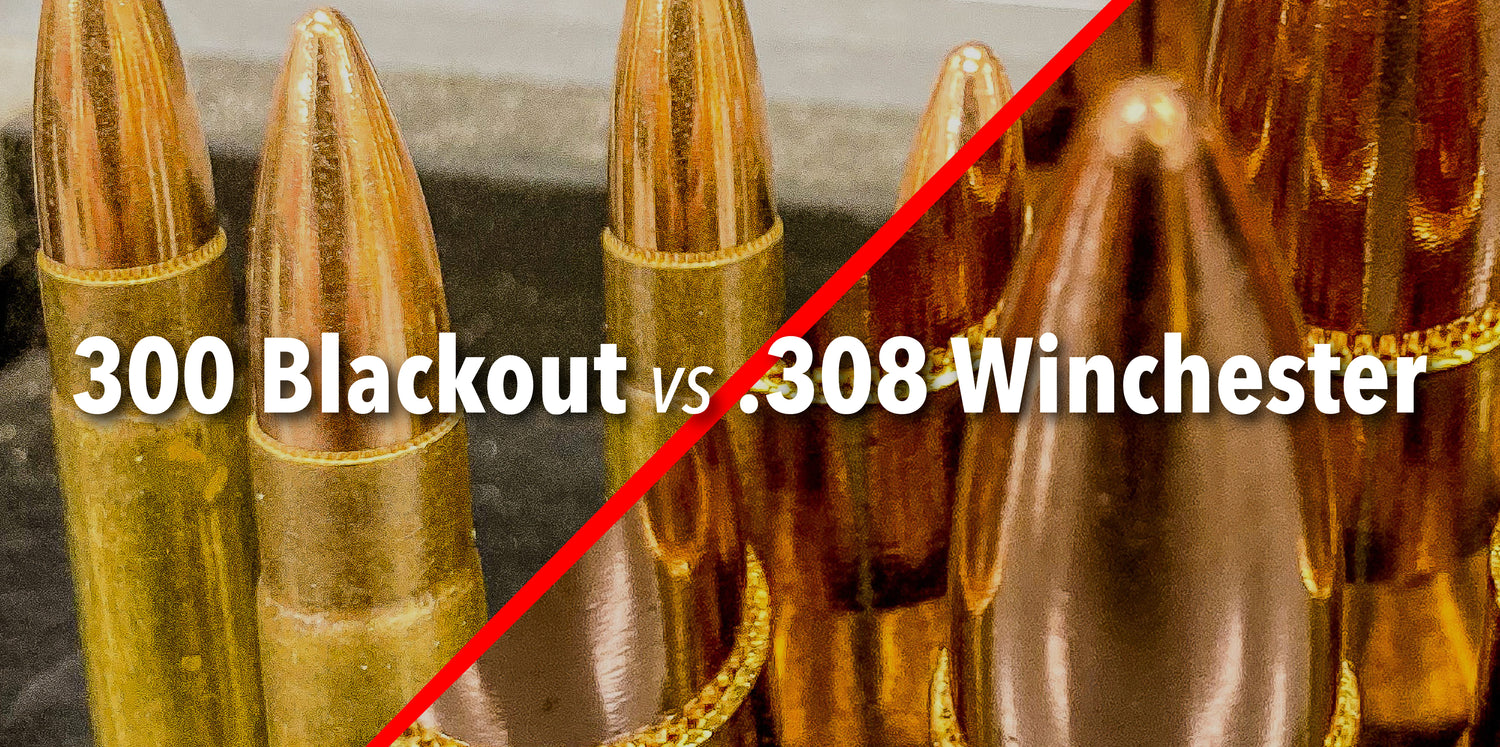 300 Blackout vs. 308 Winchester: Unveiling the Differences and Best Us ...